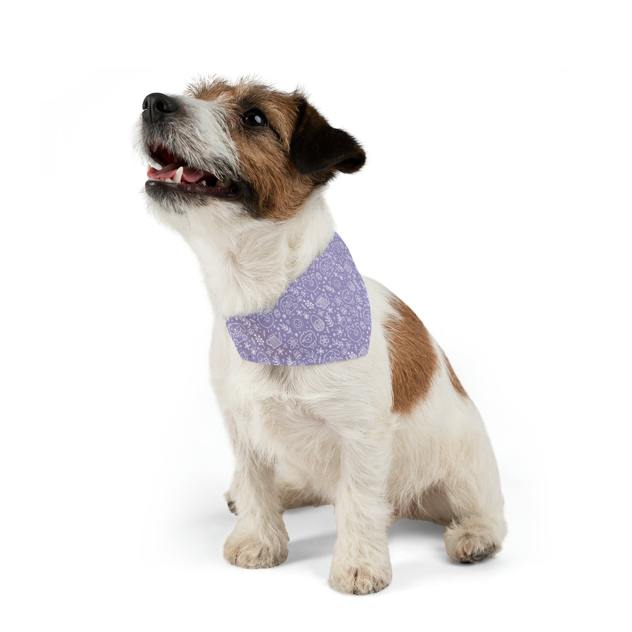 Lilac Easter - Pet Bandana Collar – Rocco & Homer